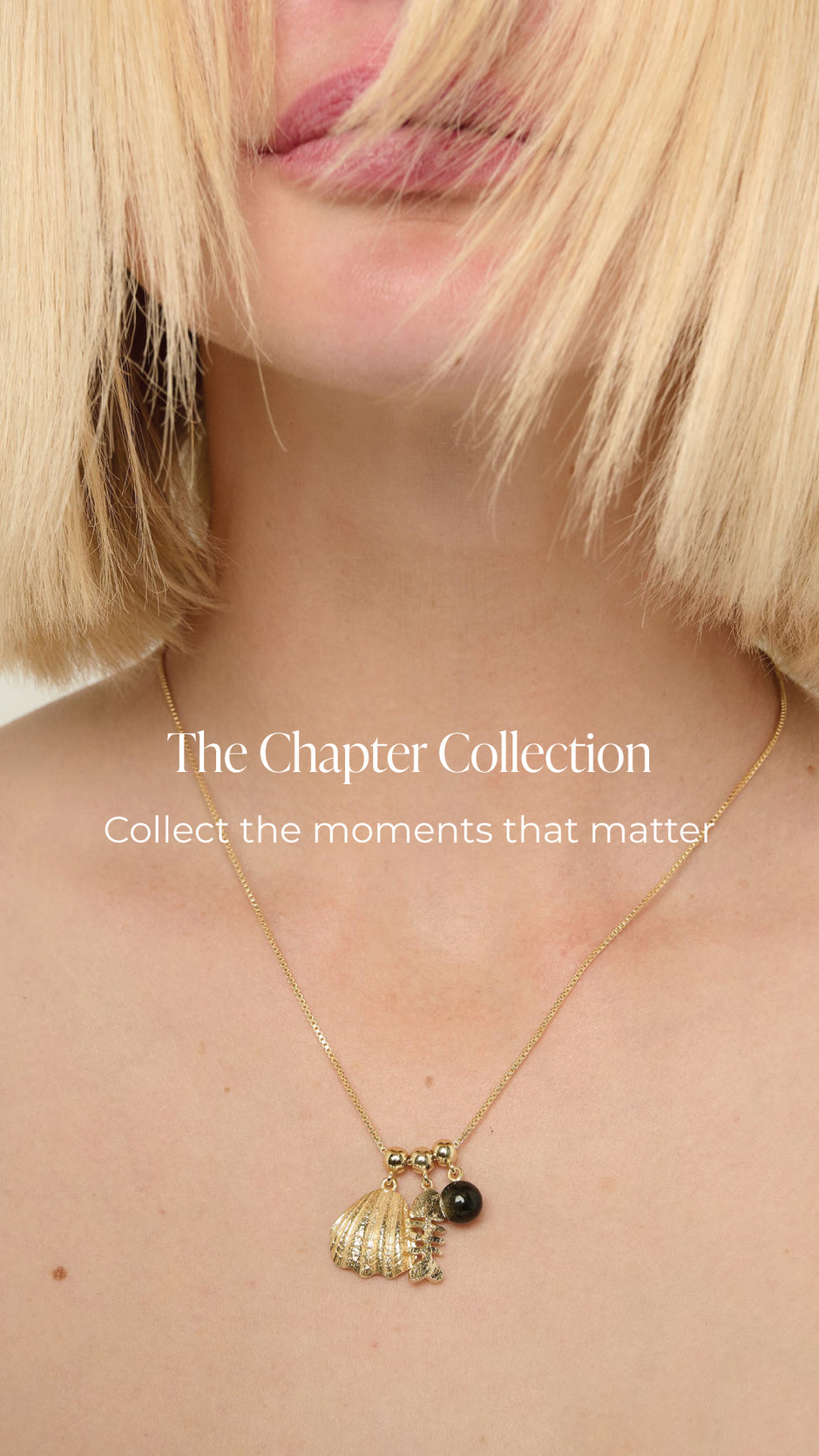 The Chapter Collection